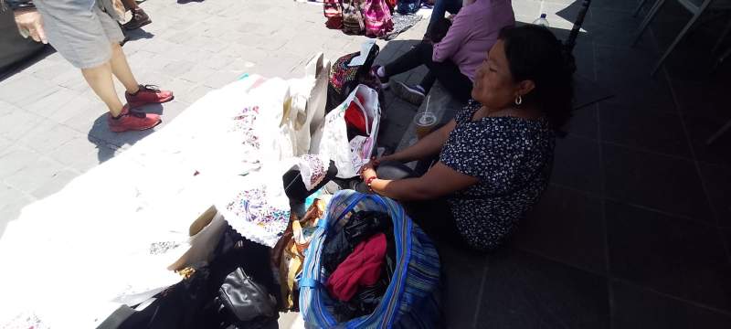 Escudada de la Sección 22; Lorena Merino ya vende en el zócalo ...